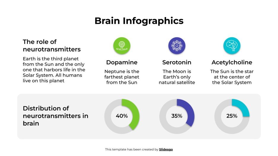 Brain Infographics Template
