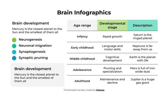 Brain Infographics Template