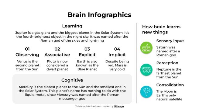 Brain Infographics Template