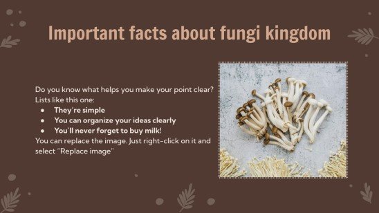 Presentación Minitema del Reino Hongo