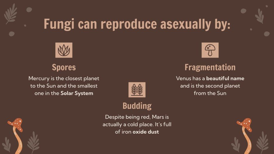 Presentación Minitema del Reino Hongo