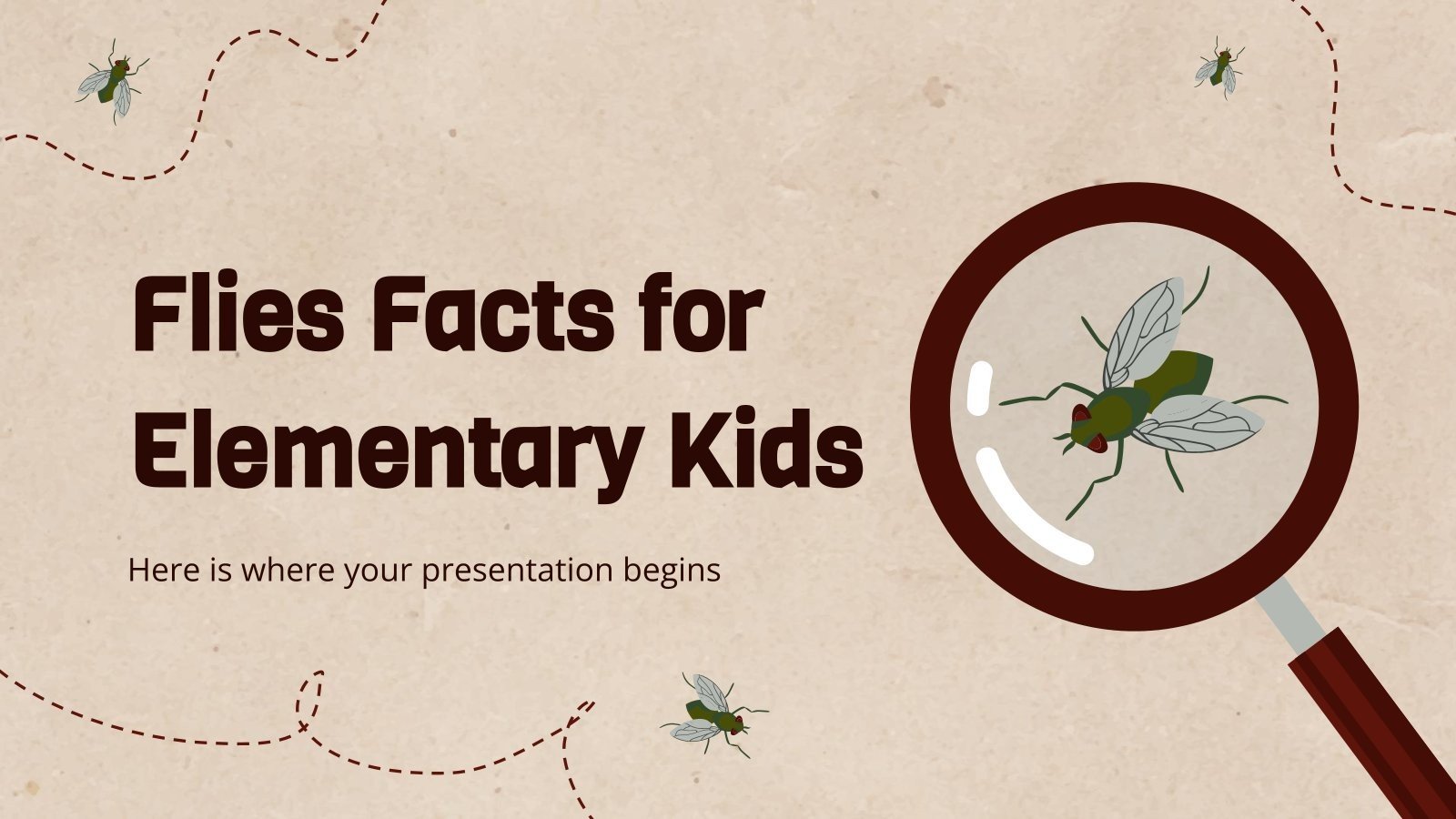 Flies Facts for Elementary Kids Presentation