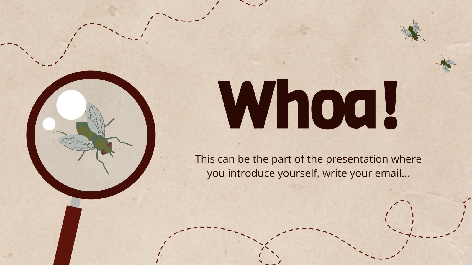 Flies Facts for Elementary Kids Presentation