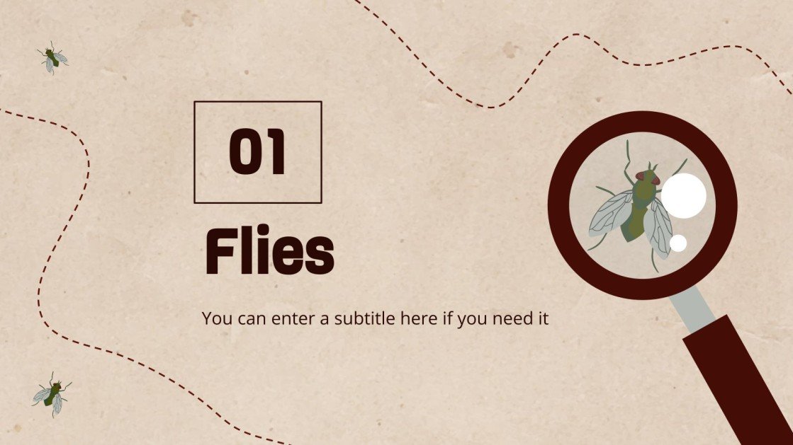 Flies Facts for Elementary Kids Presentation