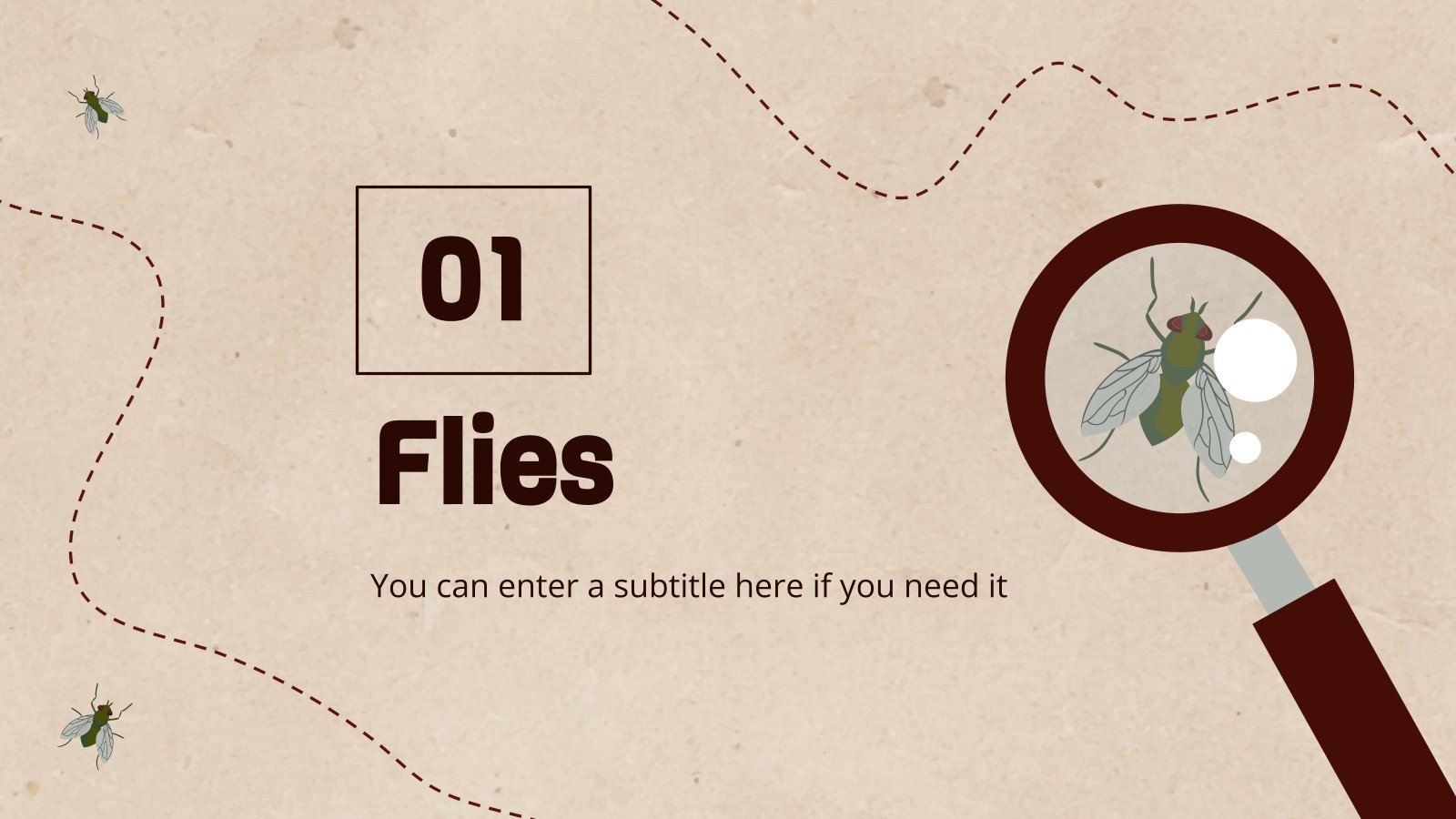 Flies Facts for Elementary Kids Presentation