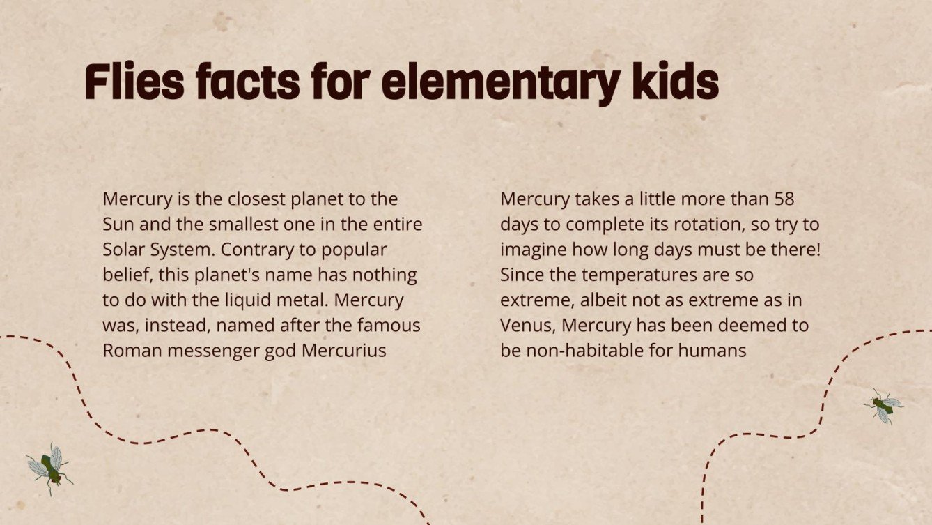 Flies Facts for Elementary Kids Presentation