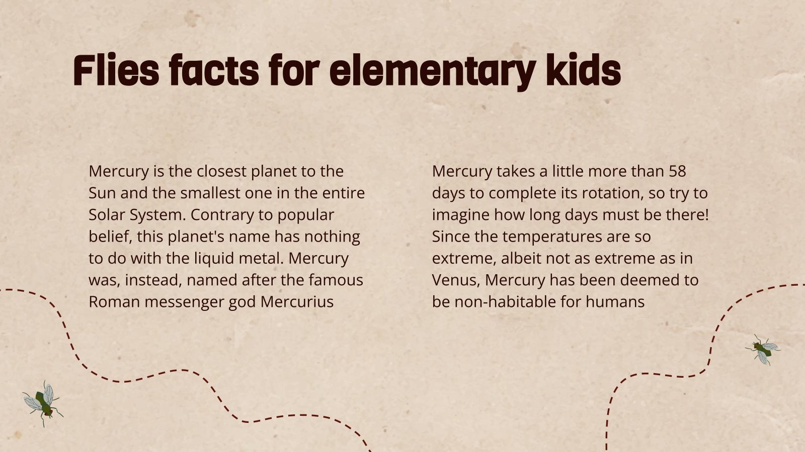 Flies Facts for Elementary Kids Presentation