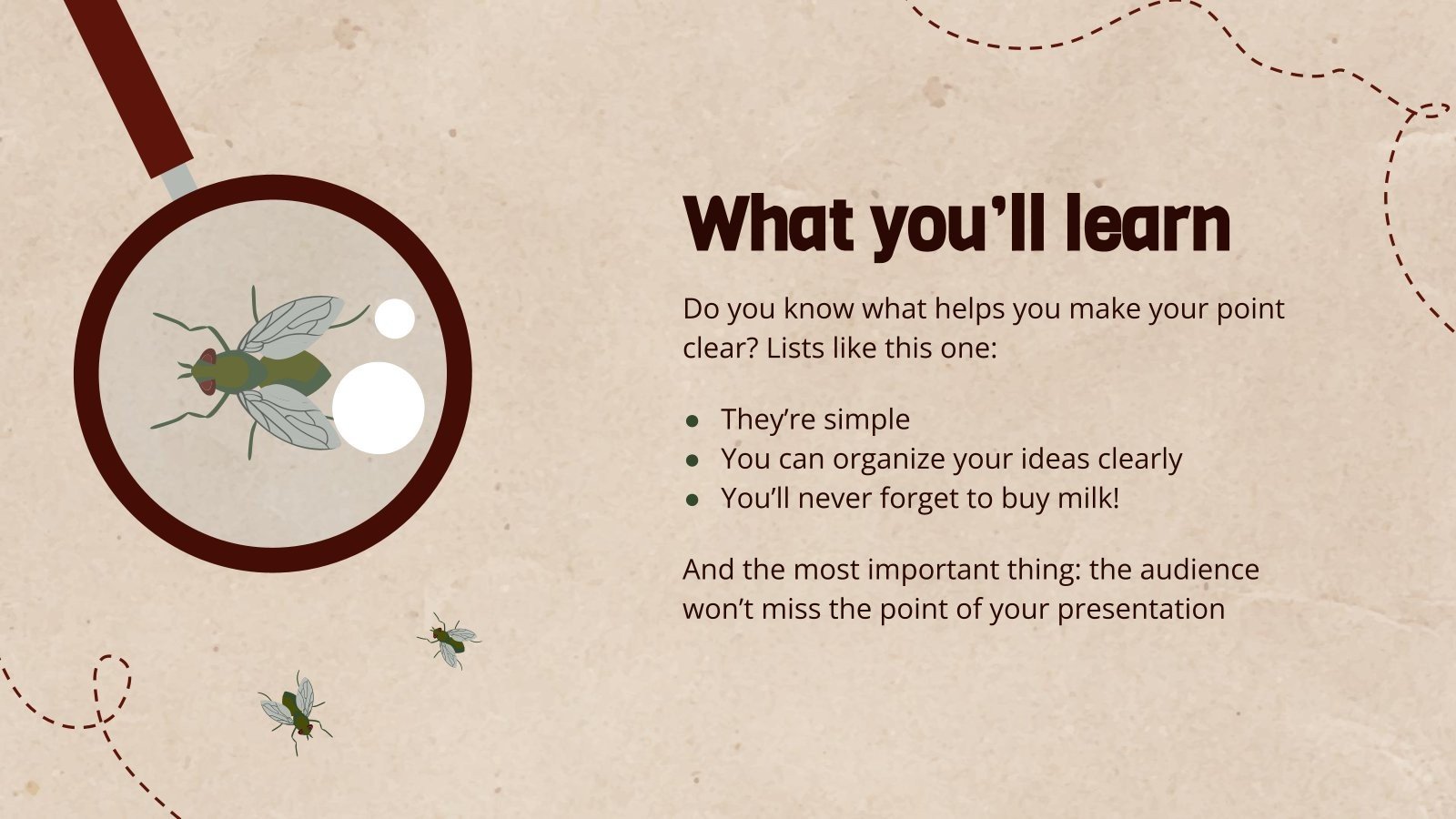 Flies Facts for Elementary Kids Presentation