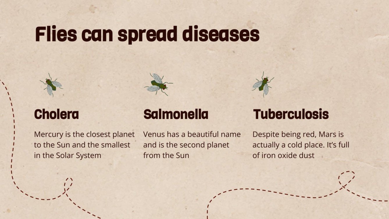 Flies Facts for Elementary Kids Presentation