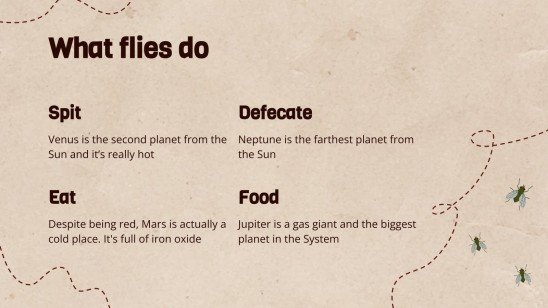 Flies Facts for Elementary Kids Presentation