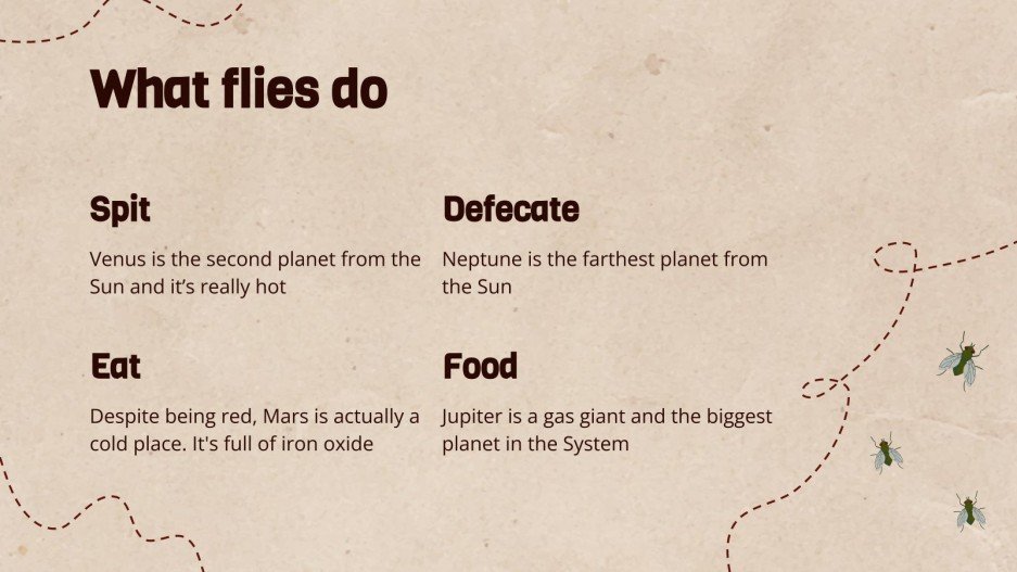 Flies Facts for Elementary Kids Presentation