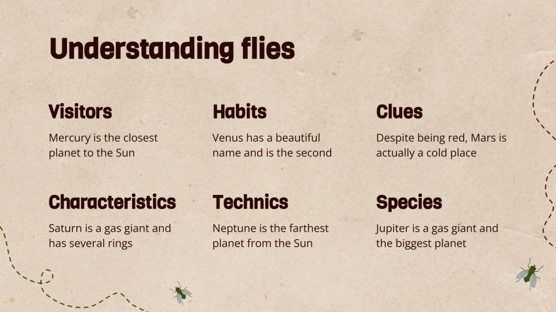 Flies Facts for Elementary Kids Presentation