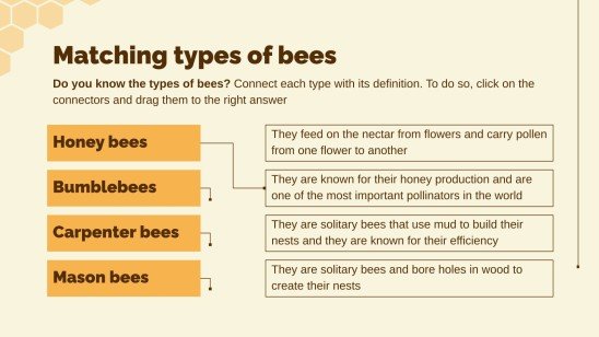 Bees: Vital Pollinators Presentation