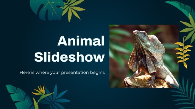 Animals Slideshow Presentation