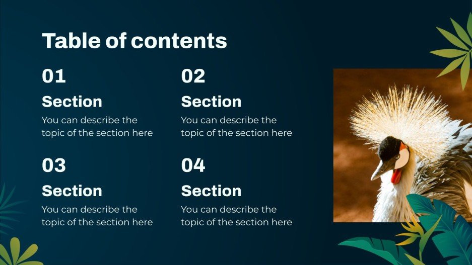 Animals Slideshow Presentation