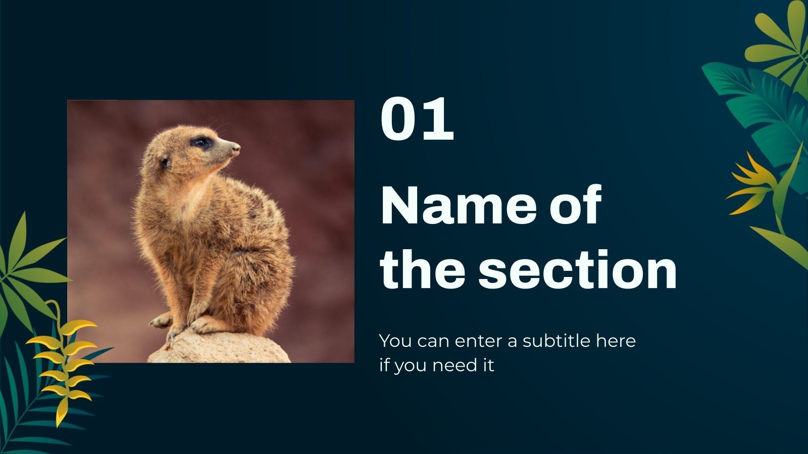 Animals Slideshow Presentation