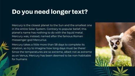 Animals Slideshow Presentation