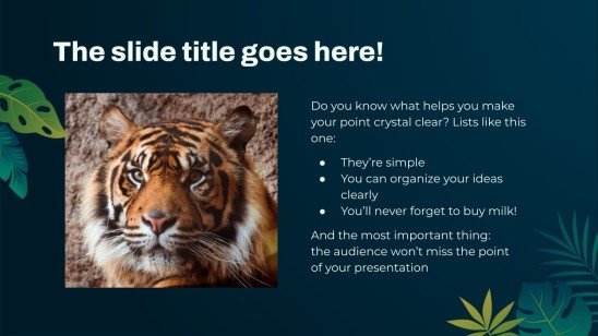 Animals Slideshow Presentation