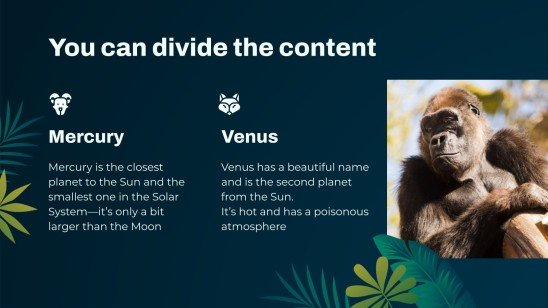 Animals Slideshow Presentation