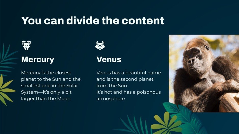 Animals Slideshow Presentation