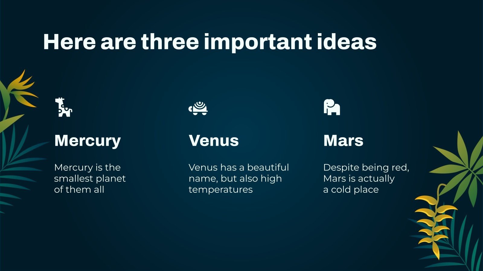 Animals Slideshow Presentation