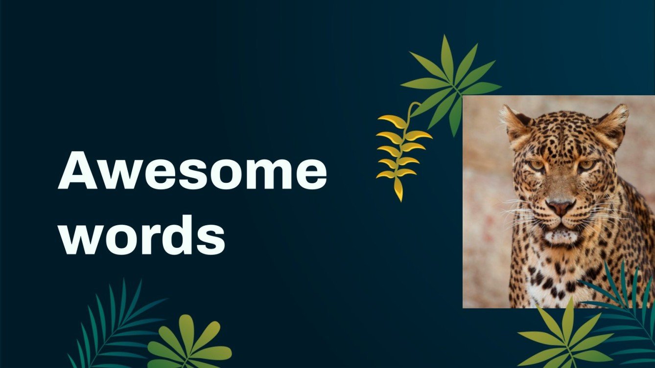 Animals Slideshow Presentation