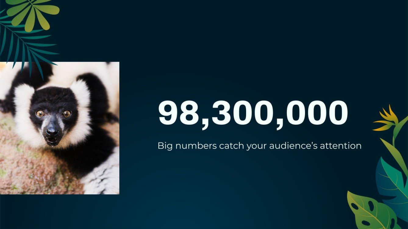 Animals Slideshow Presentation