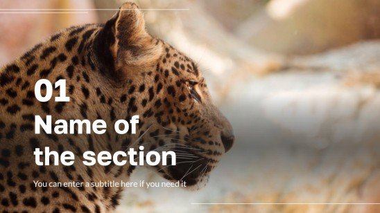 Nature Slideshow Presentation