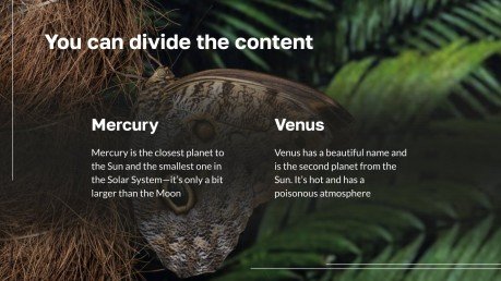 Nature Slideshow Presentation