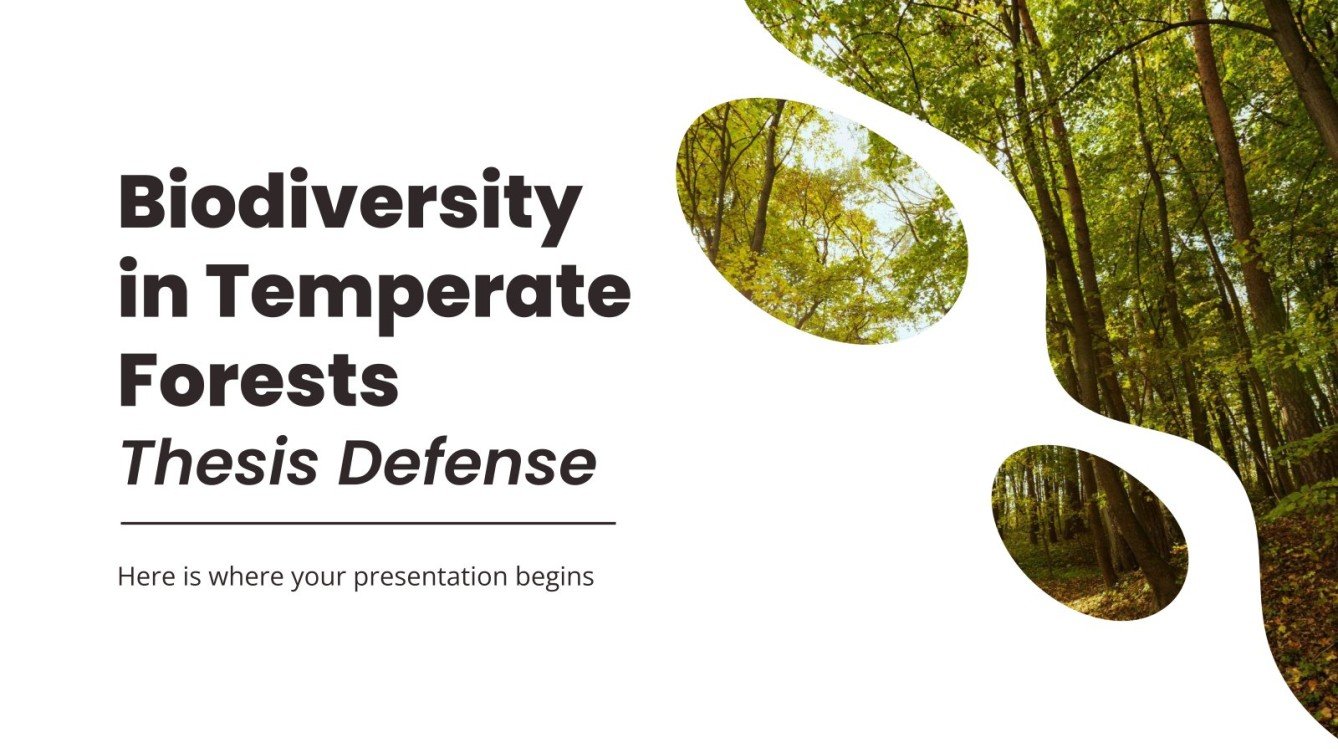 Biodiversity in Temperate Forests Thesis Defense