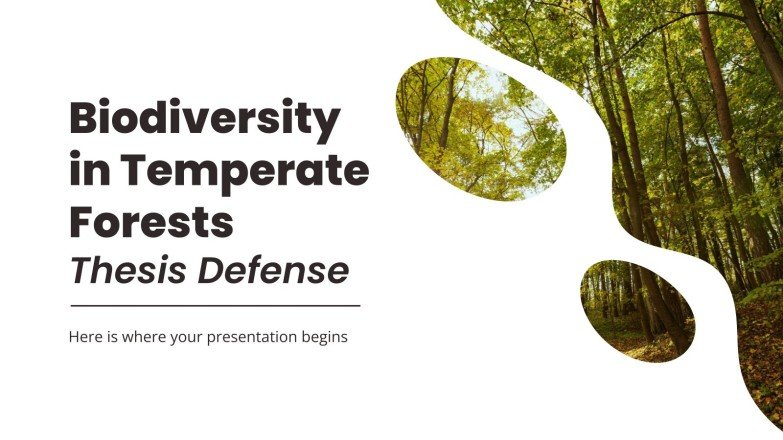 Biodiversity in Temperate Forests Thesis Defense