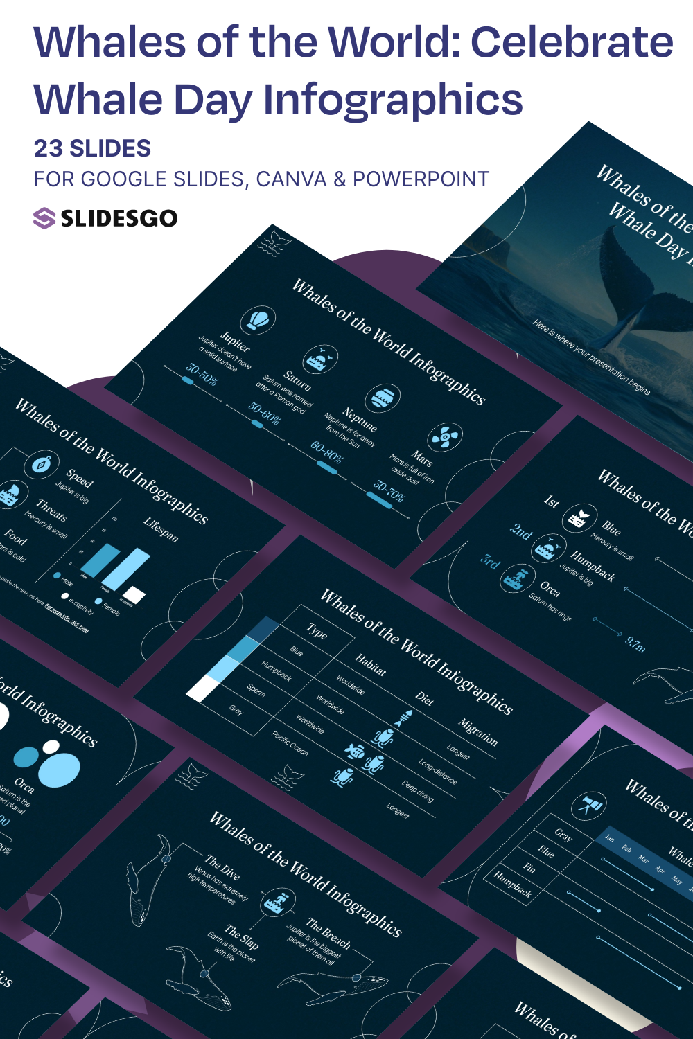 Whales of the World to Celebrate Whale Day Infographics Presentation
