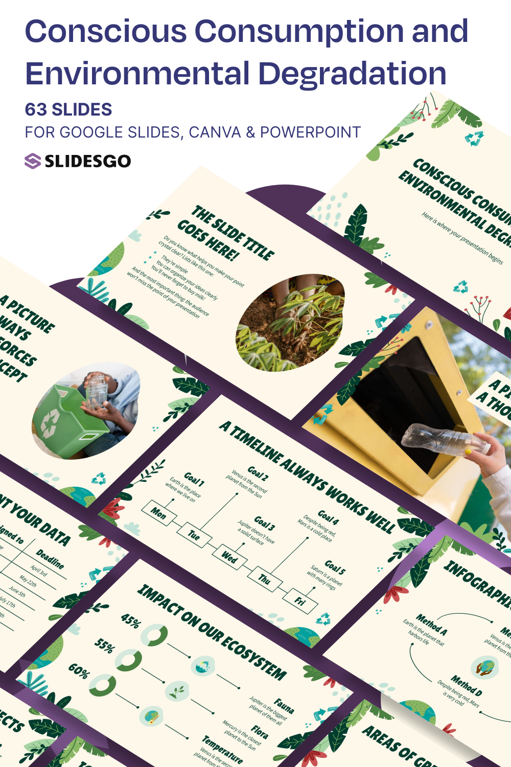 Conscious Consumption and Environmental Degradation Presentation