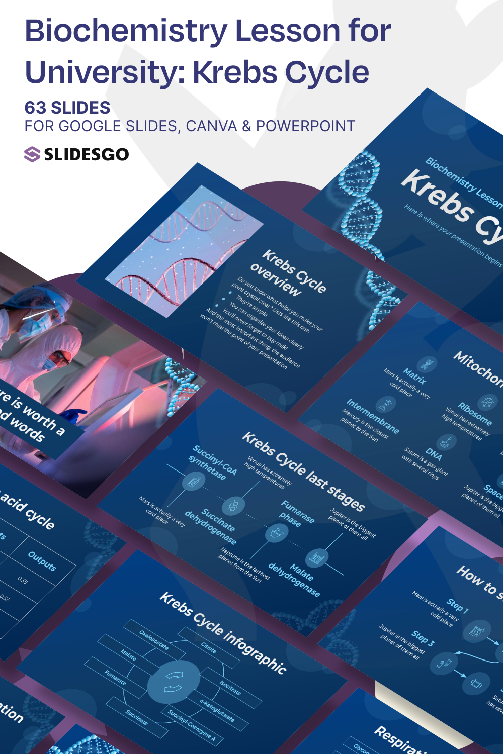 Biochemistry Lesson for University: Krebs Cycle Presentation