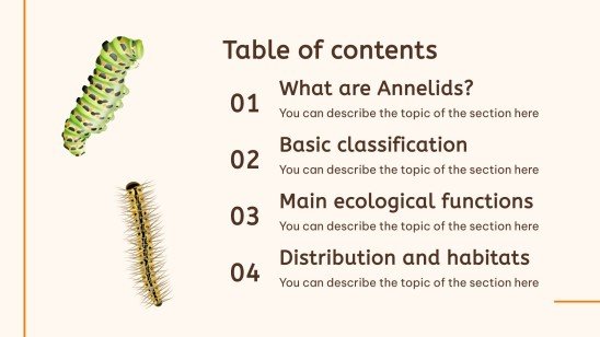 Annelids in Ecological Systems Presentation