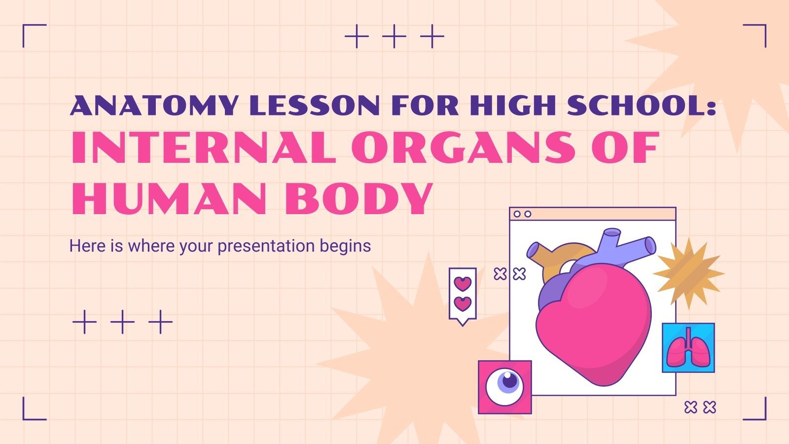 Internal Organs of Human Body