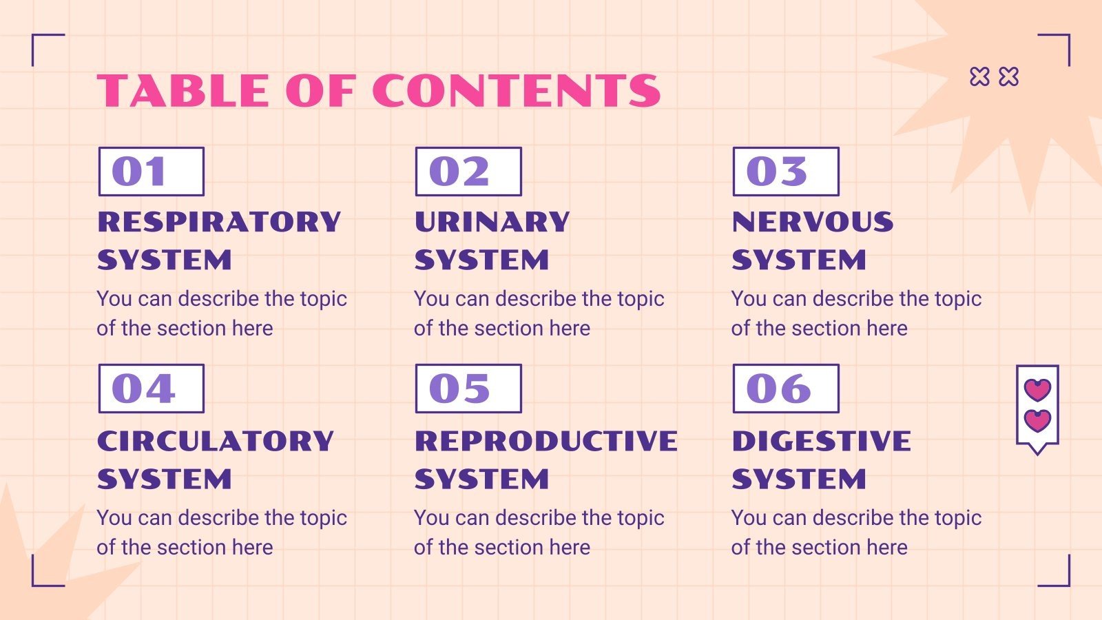 Internal Organs of Human Body