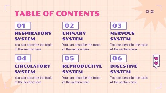 Internal Organs of Human Body