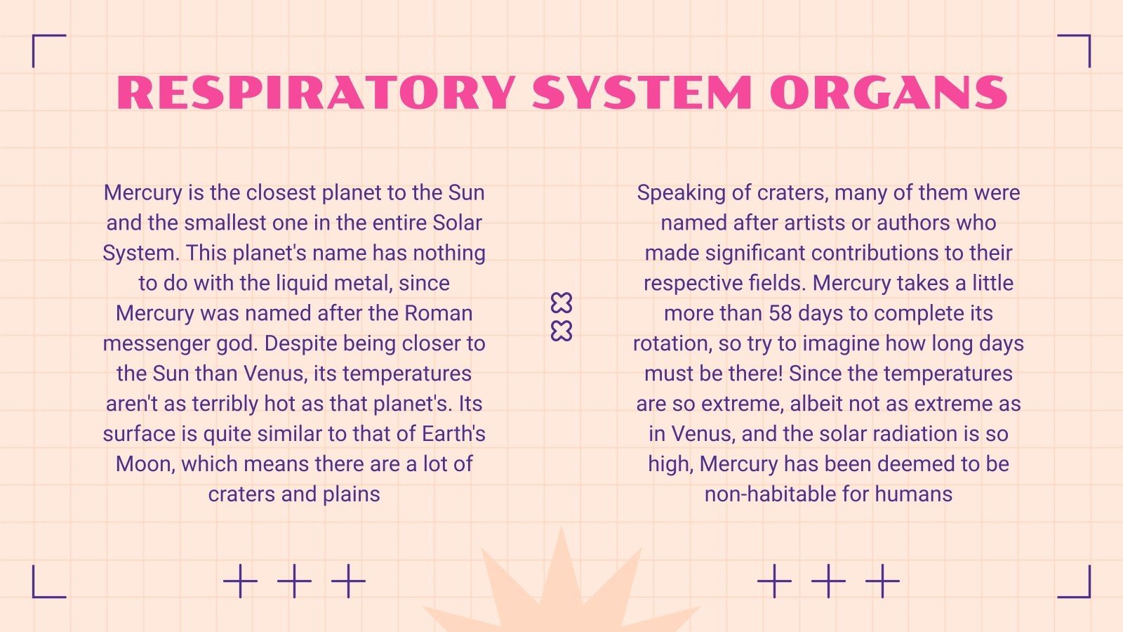 Internal Organs of Human Body