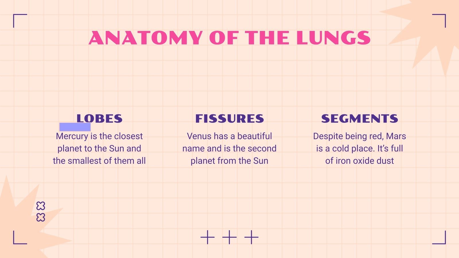 Internal Organs of Human Body