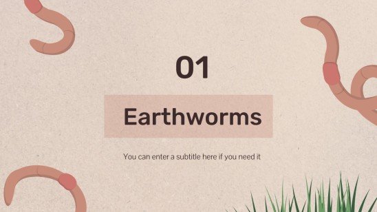 Earthworm Anatomy and Behavior Presentation