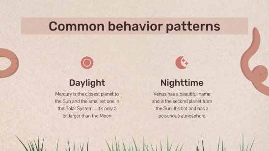 Earthworm Anatomy and Behavior Presentation