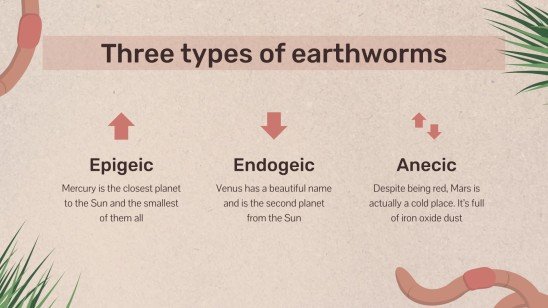 Earthworm Anatomy and Behavior Presentation
