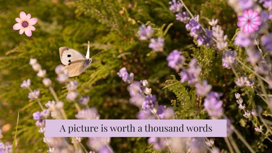 Butterfly Minitheme Presentation