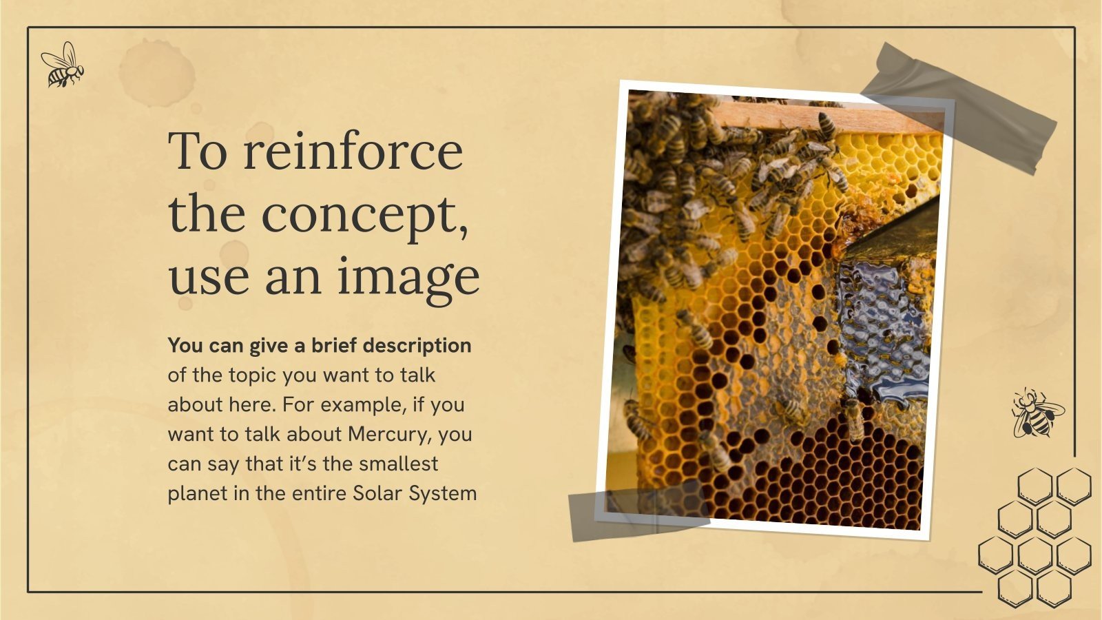 Beekeeping Basics for Beginners Presentation