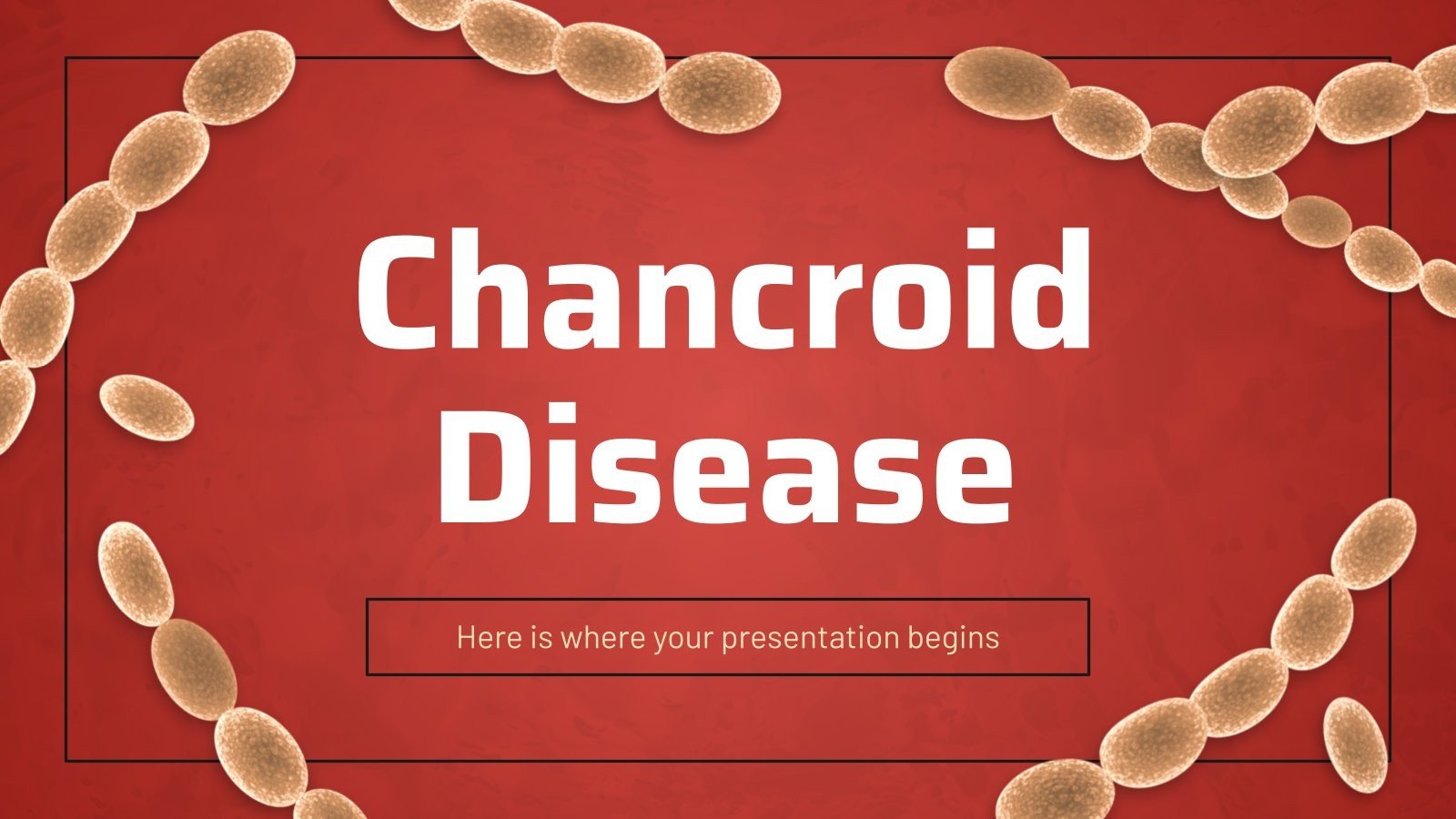Chancroid Disease Presentation