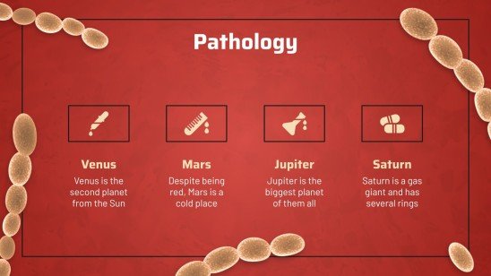 Chancroid Disease Presentation