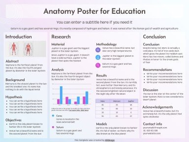 Anatomy Poster for Education Presentation