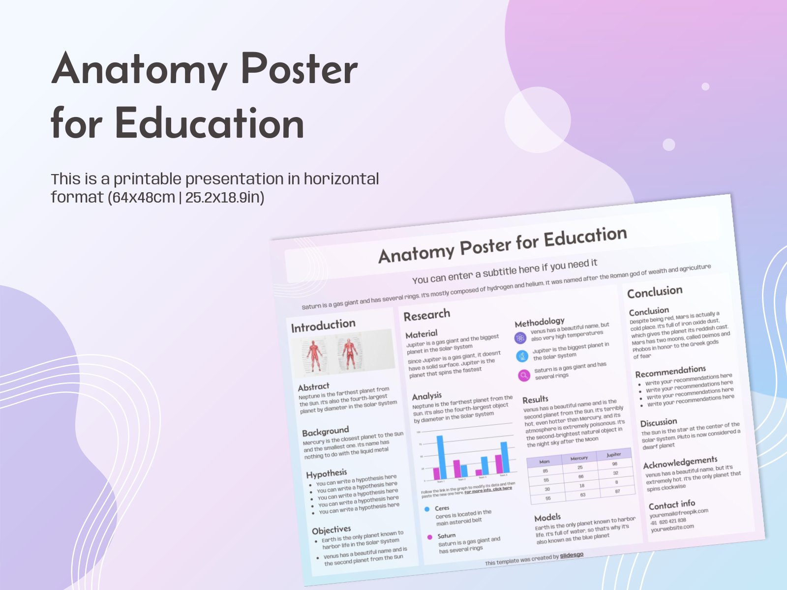 Anatomy Poster for Education Presentation