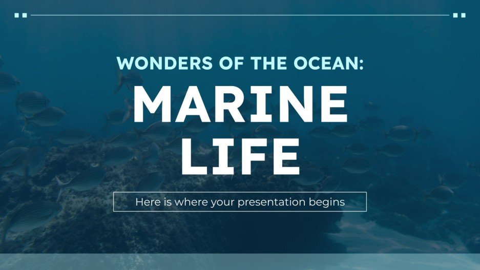 Wonders of the Ocean: Marine Life Presentation